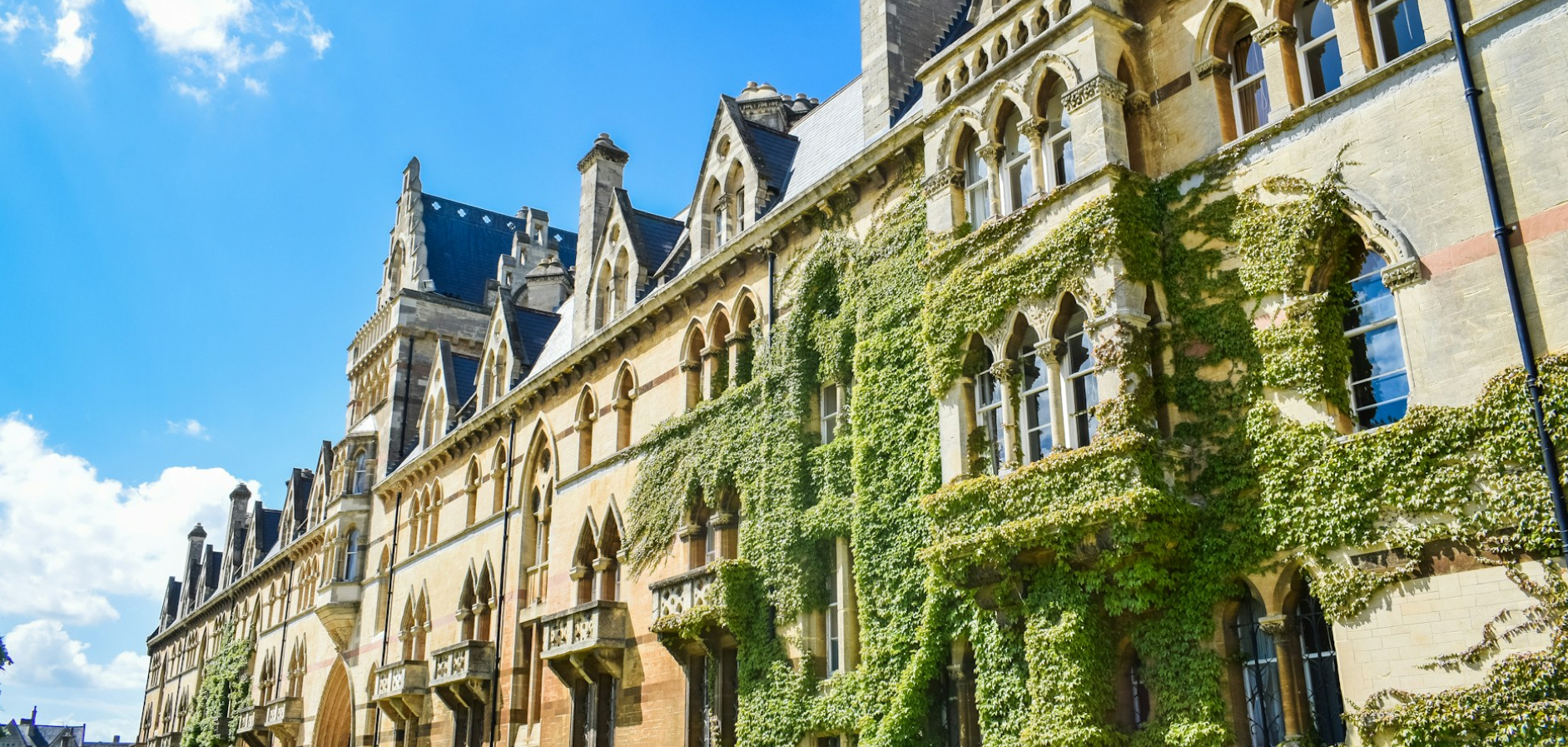 10 Best University Branding Agencies in 2026 - Marketing LTB